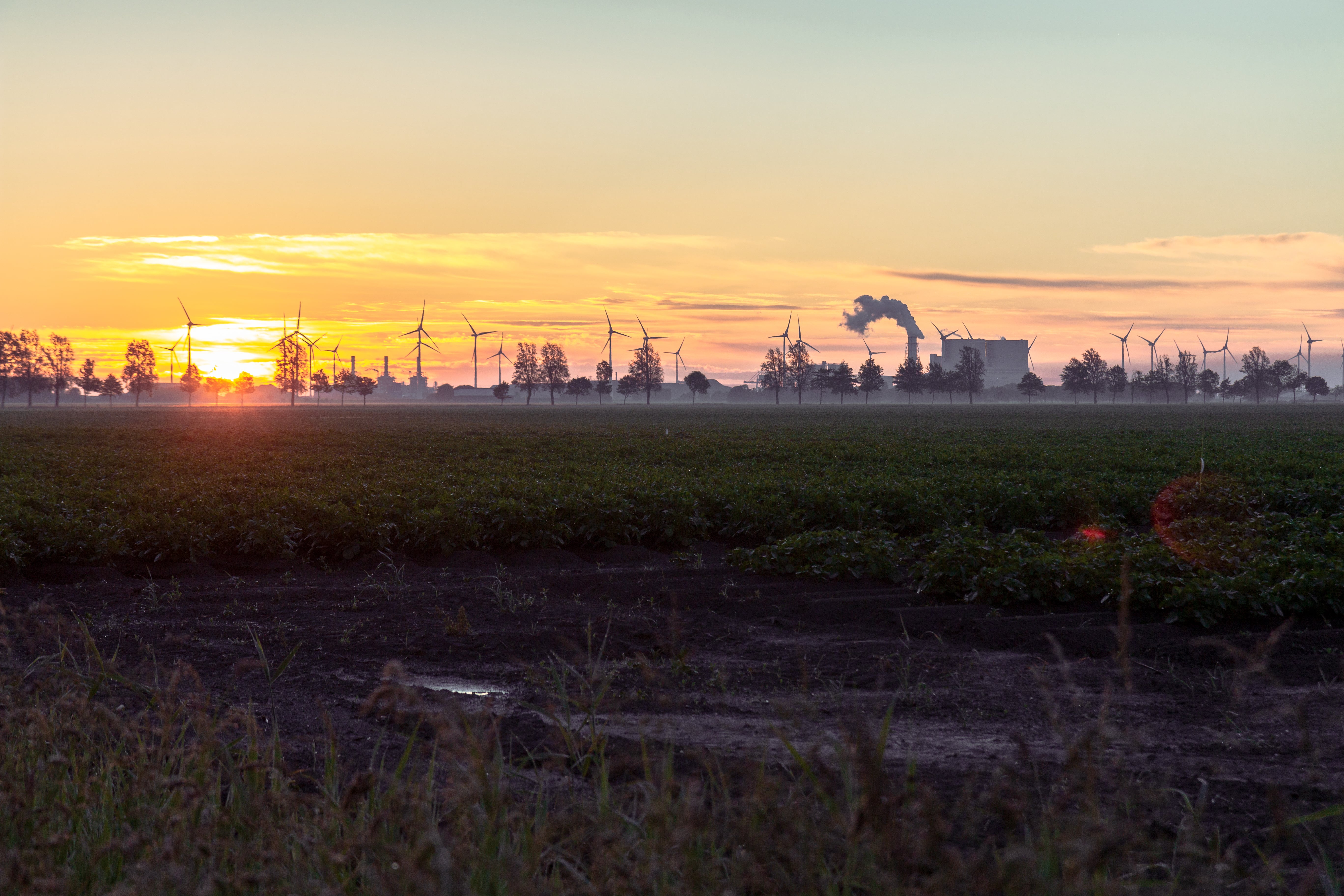 Perpetual Next bouwt biomethanolfabriek van 800 miljoen in Delfzijl ...